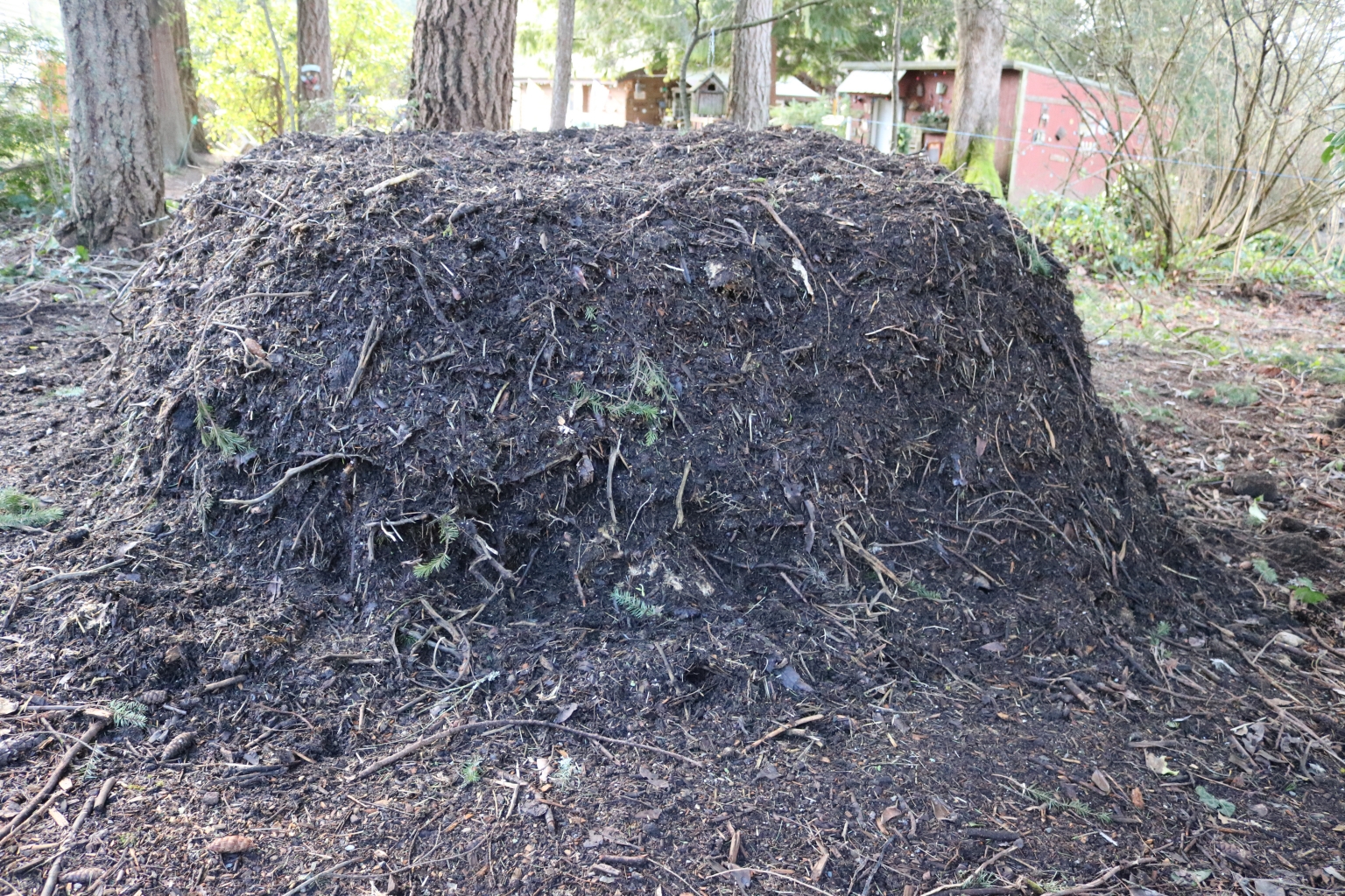 Composting 101